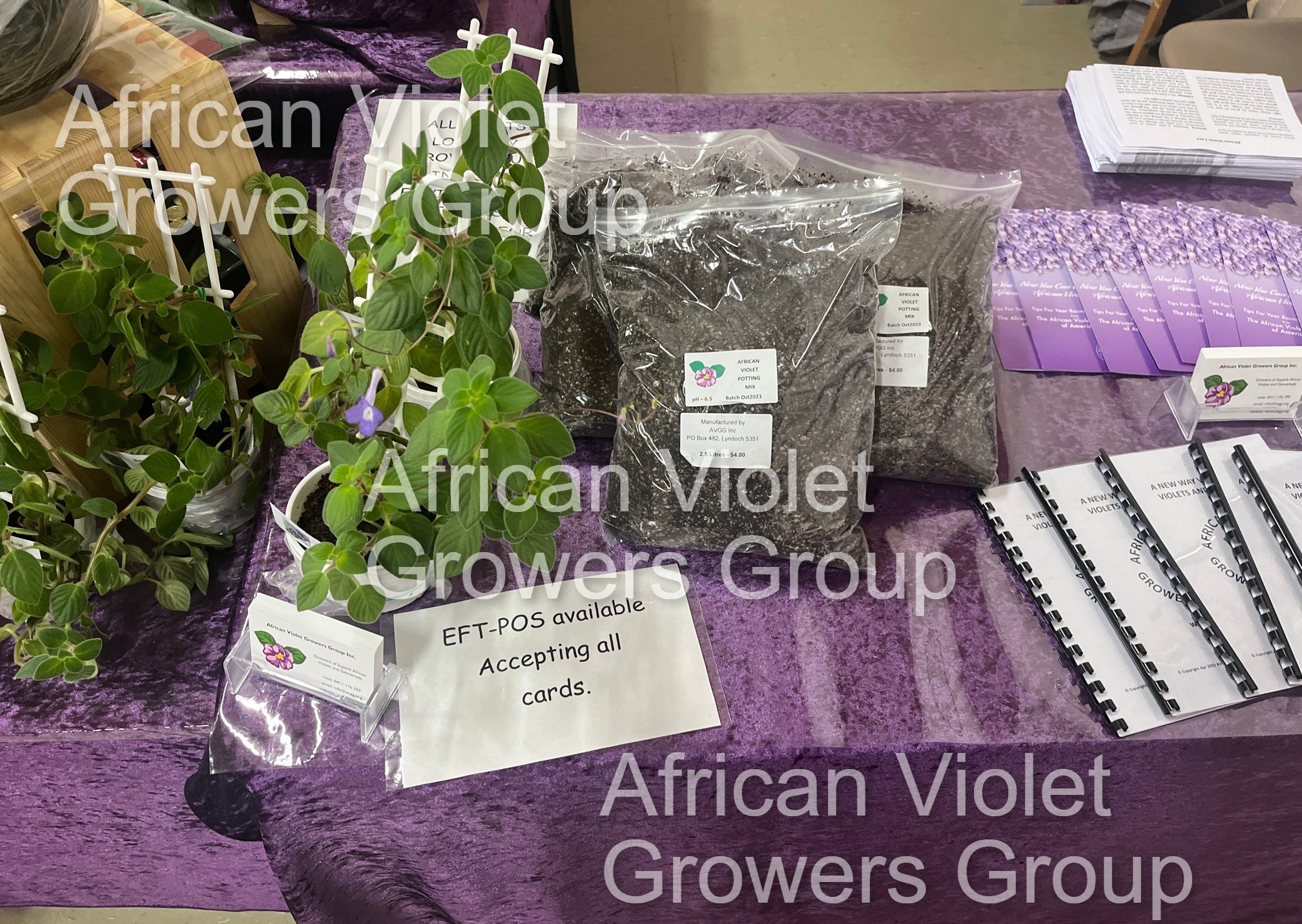 Gallery - African Violet Growers Group Inc.